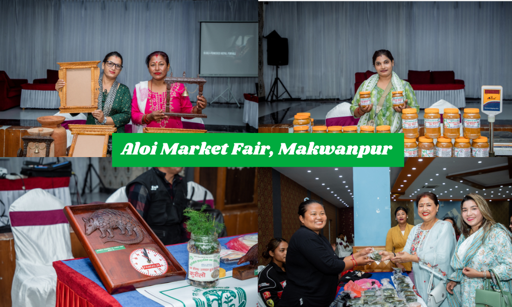 Community Entrepreneurship: Highlights from Aloi Private Limited's ...